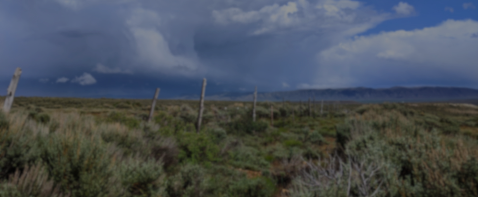 Current Projects — Working Lands Conservation