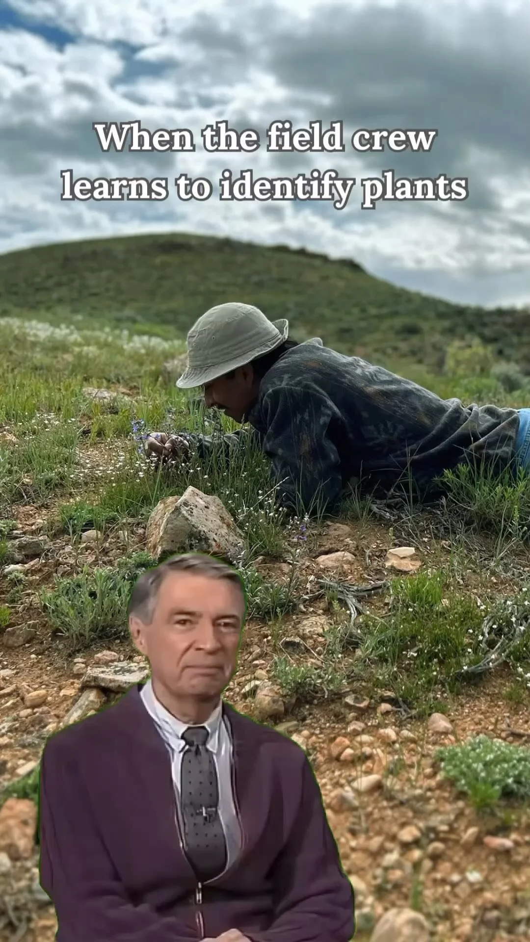 Working Lands Conservation