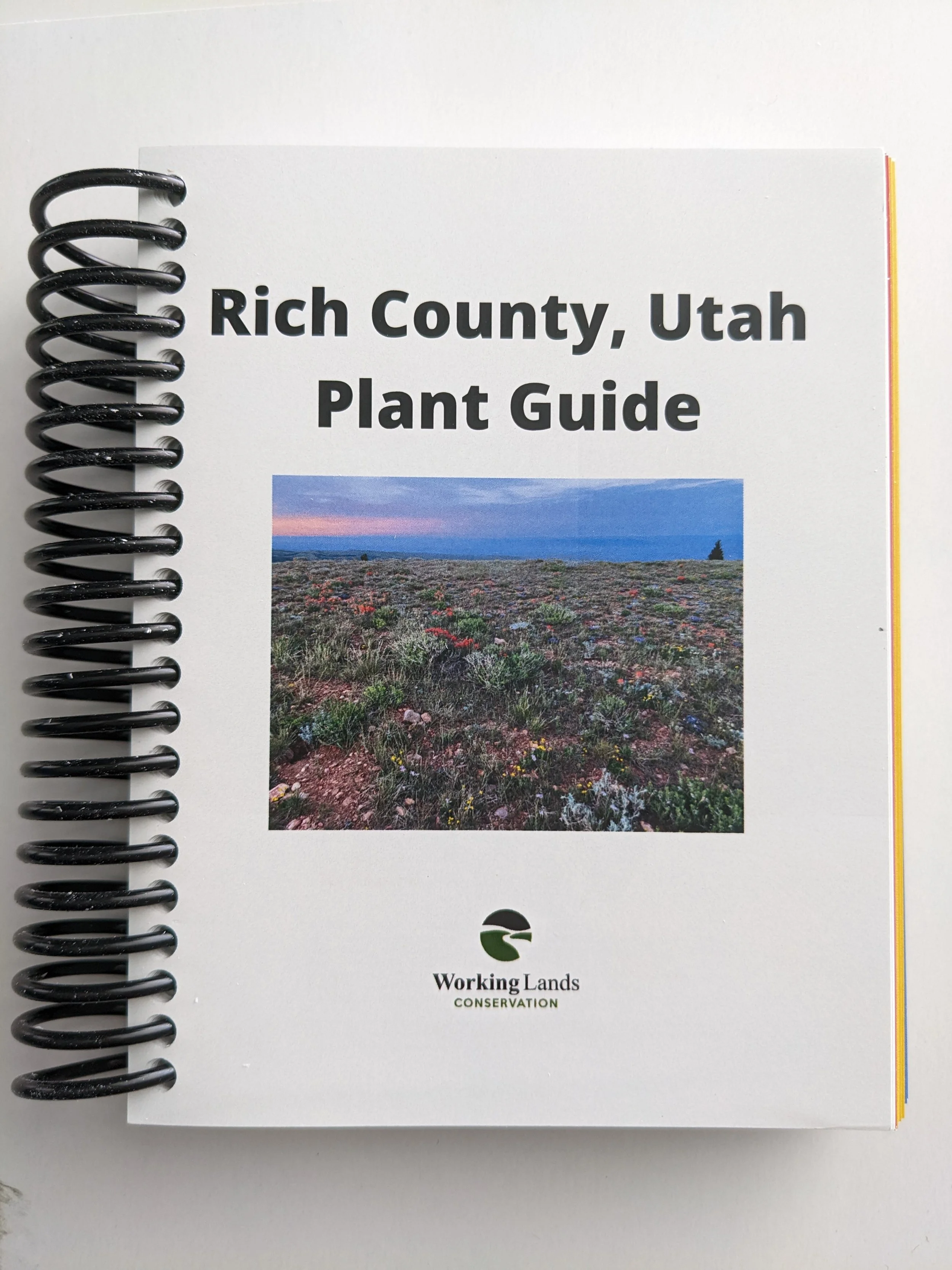 Working Lands Conservation