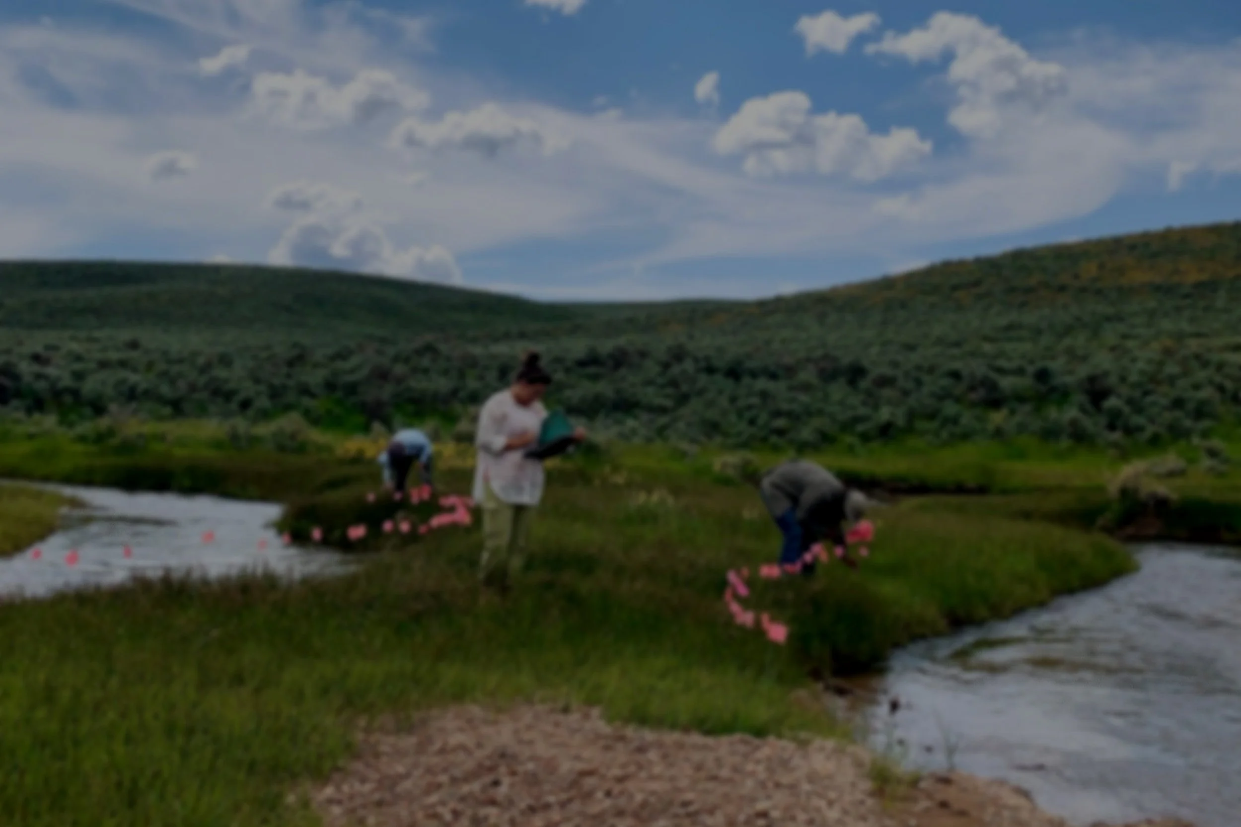 Current Projects — Working Lands Conservation