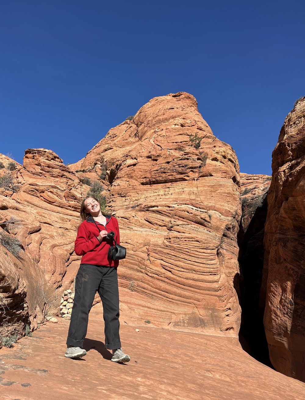 Our Team — Working Lands Conservation