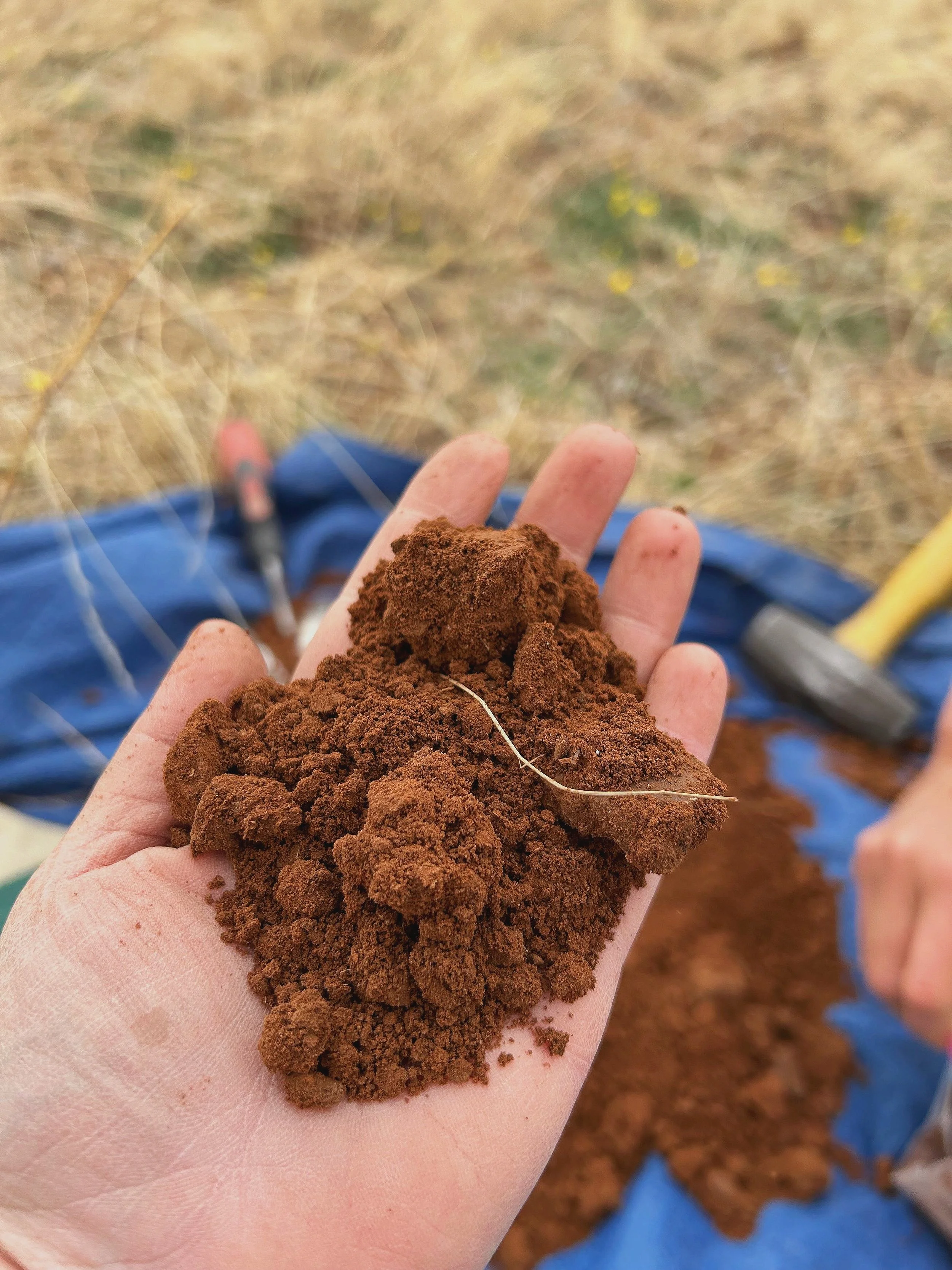 New Mexico — Working Lands Conservation
