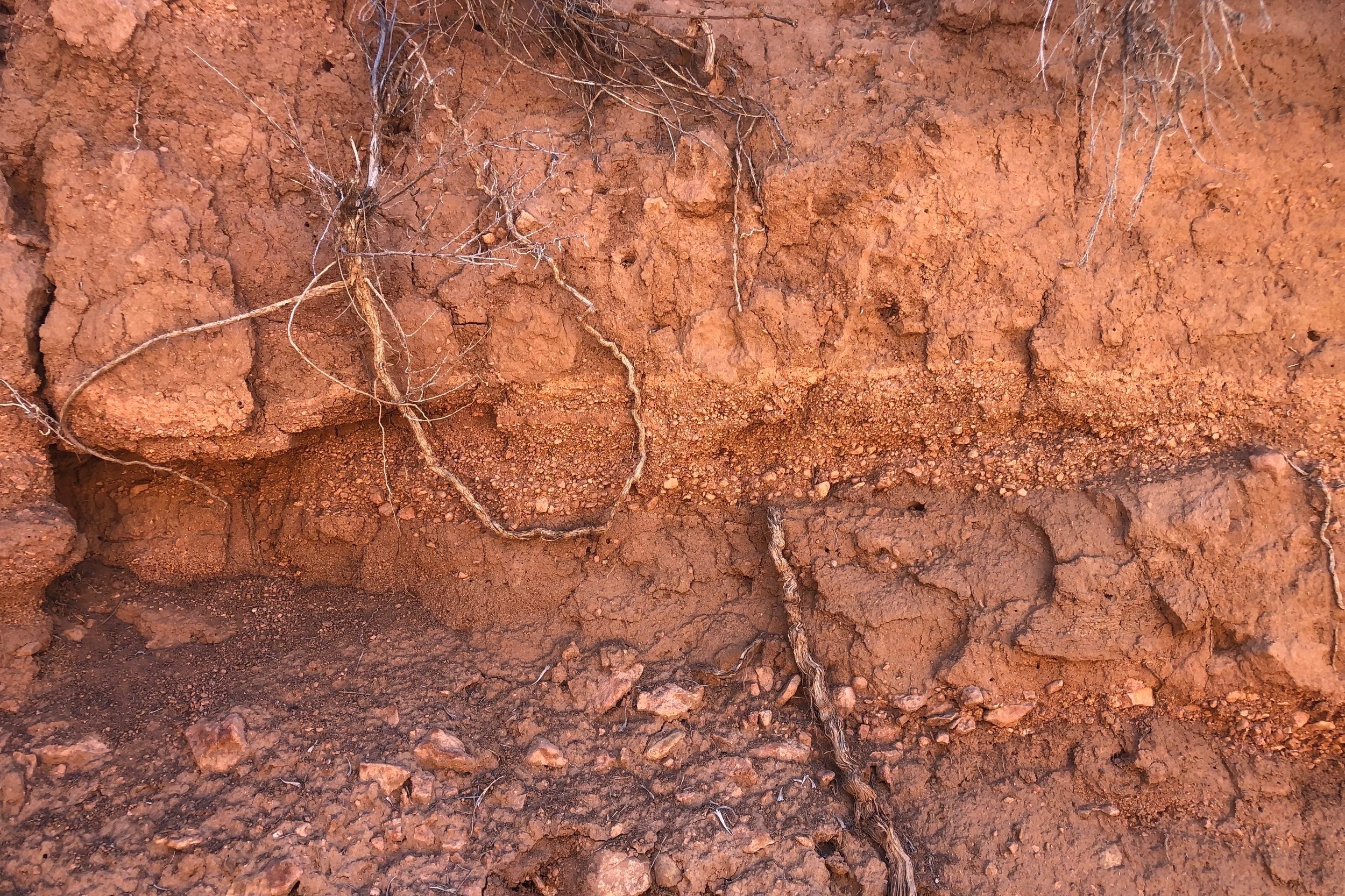 Projects — Working Lands Conservation