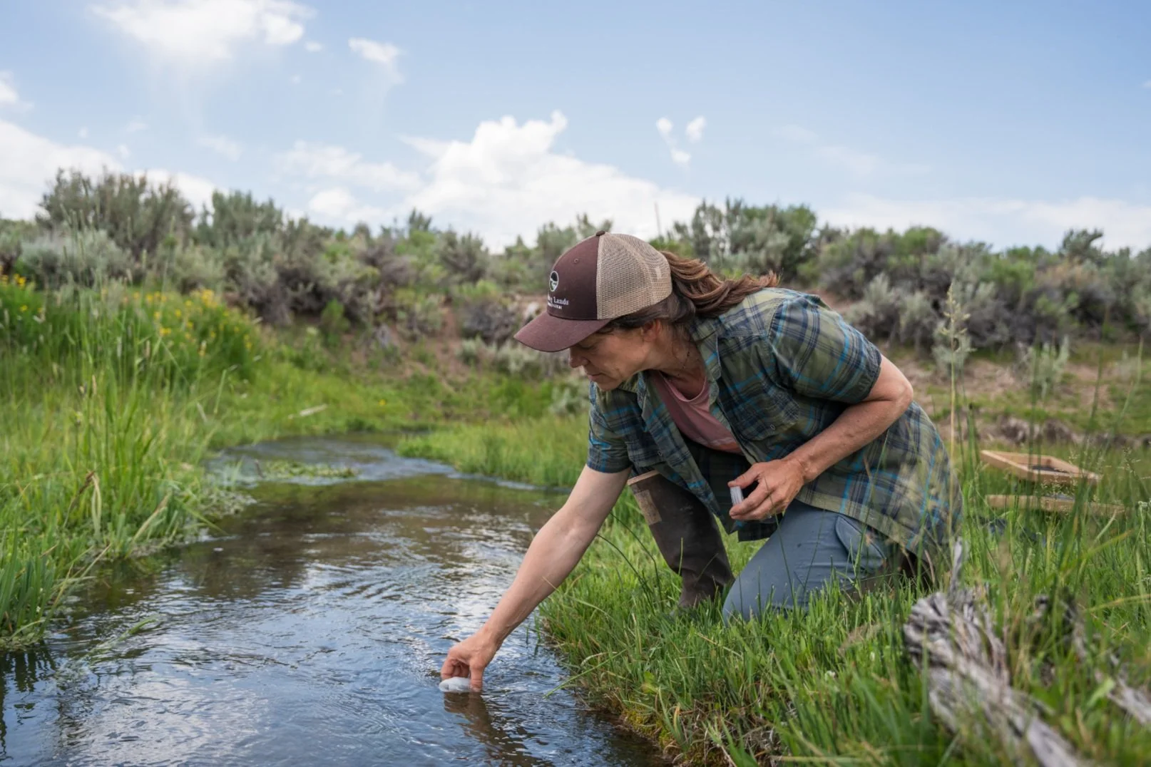 Three Creeks — Working Lands Conservation