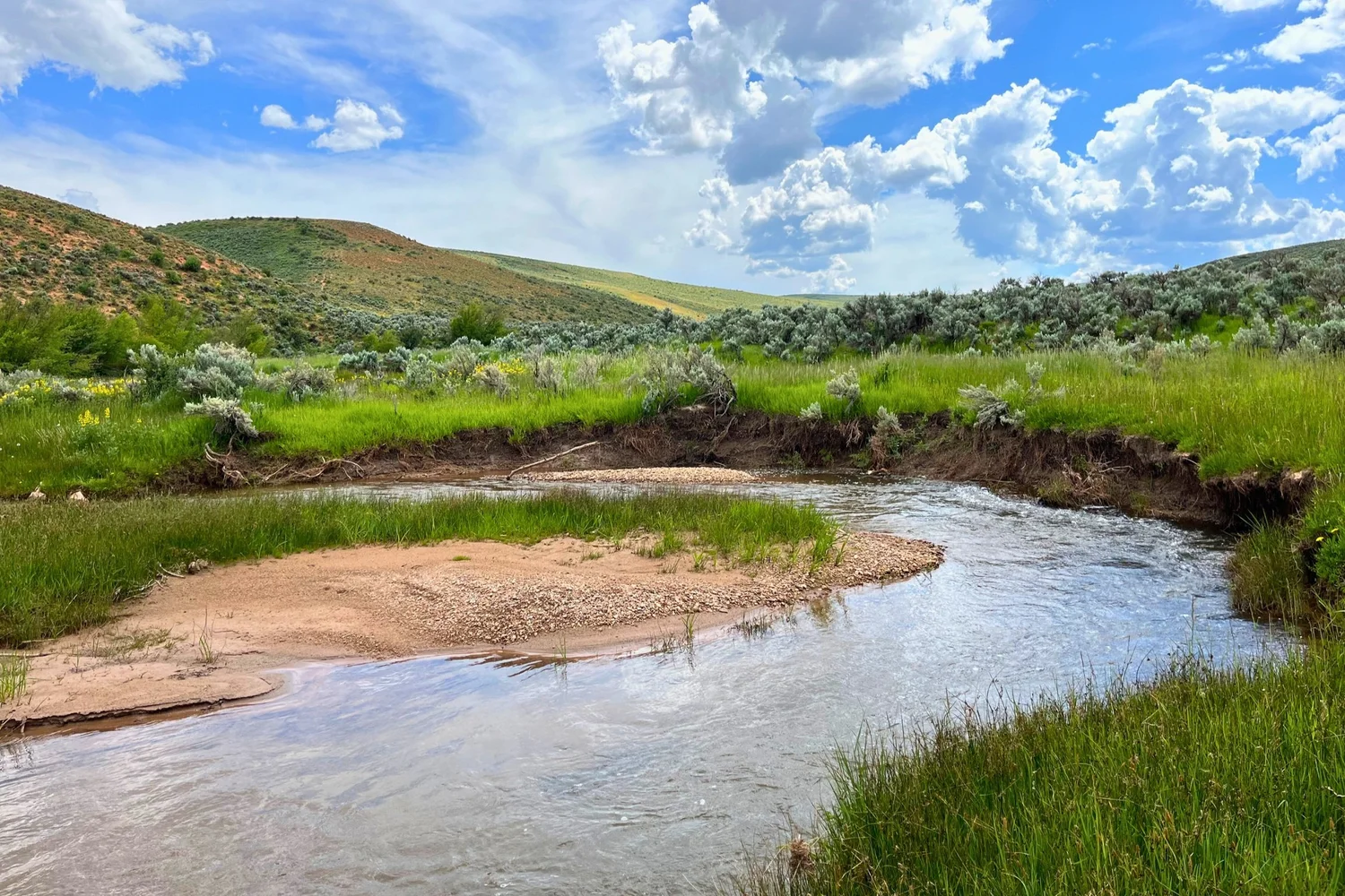 Mission — Working Lands Conservation