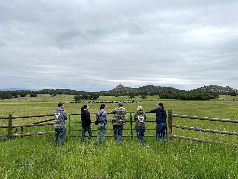 Mission — Working Lands Conservation