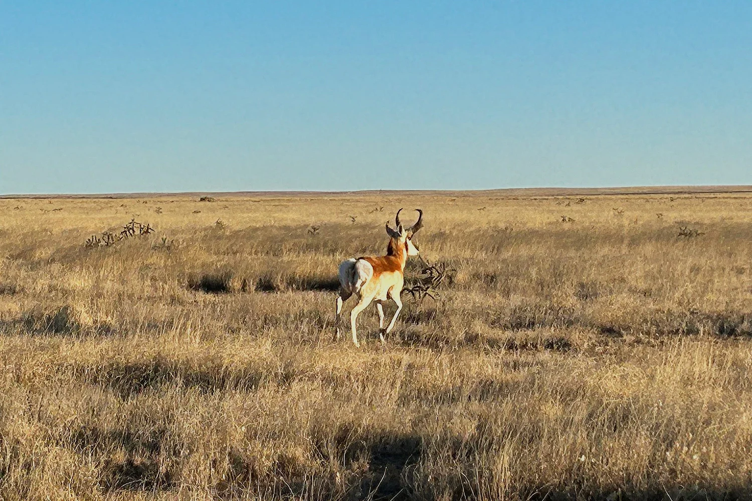 New Mexico — Working Lands Conservation