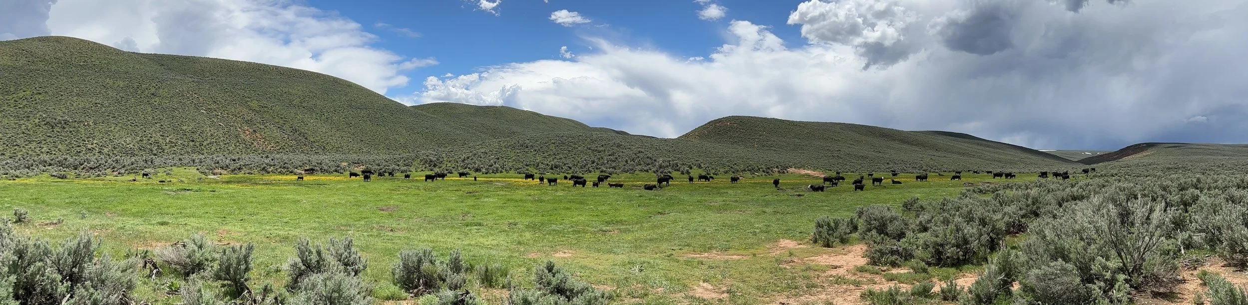Working Lands Conservation