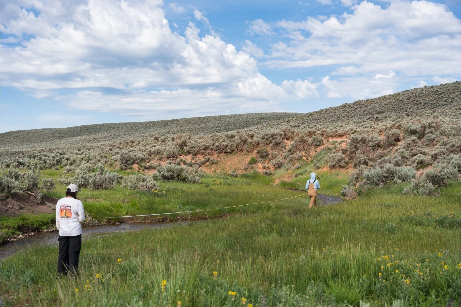 Three Creeks — Working Lands Conservation