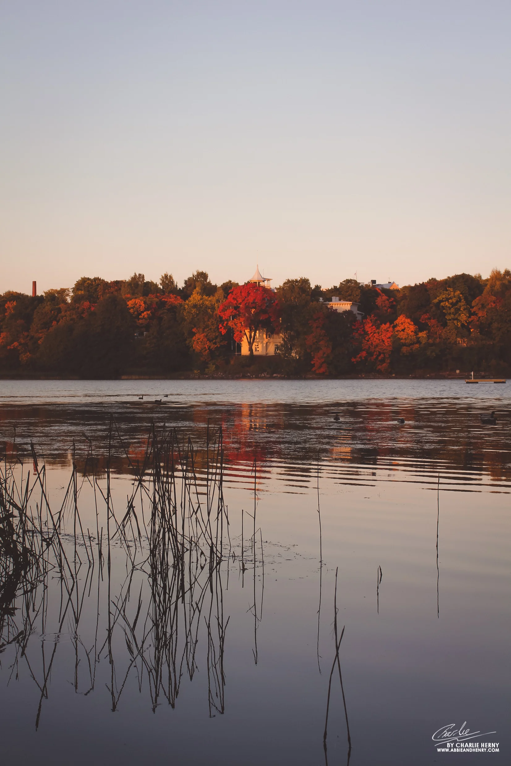 Landscapes — CHARLIE HENRY