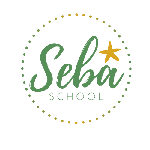 Seba School — Regeneration180
