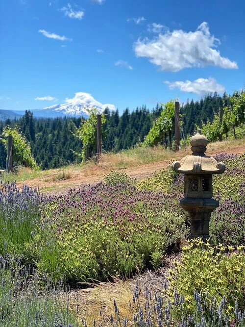 Photos | Explore and Discover Fine Wines — Phelps Creek Vineyards