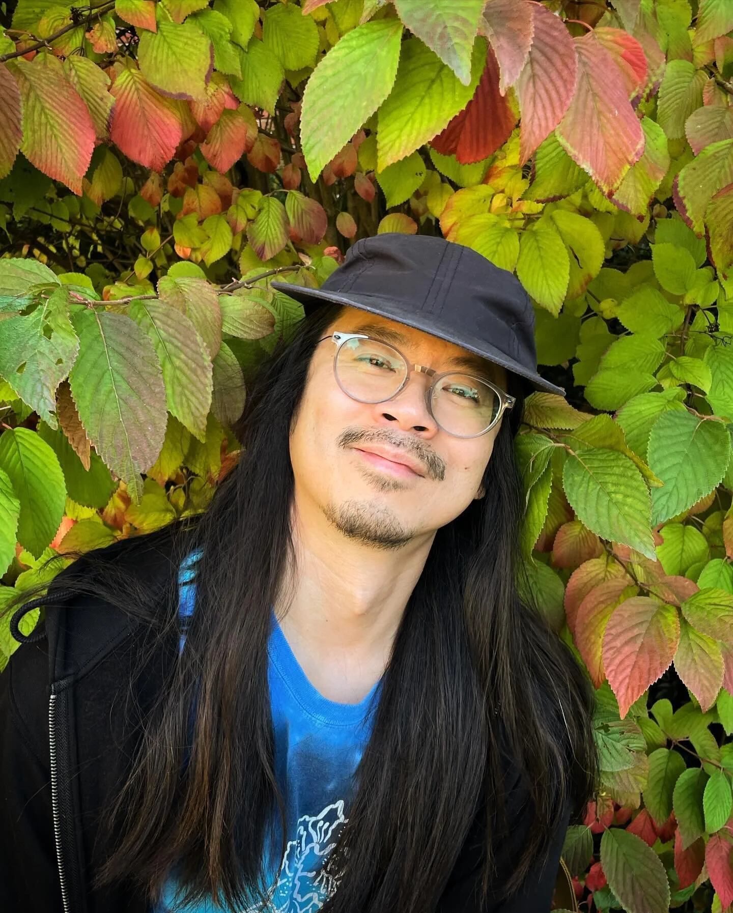 sheng wang official website