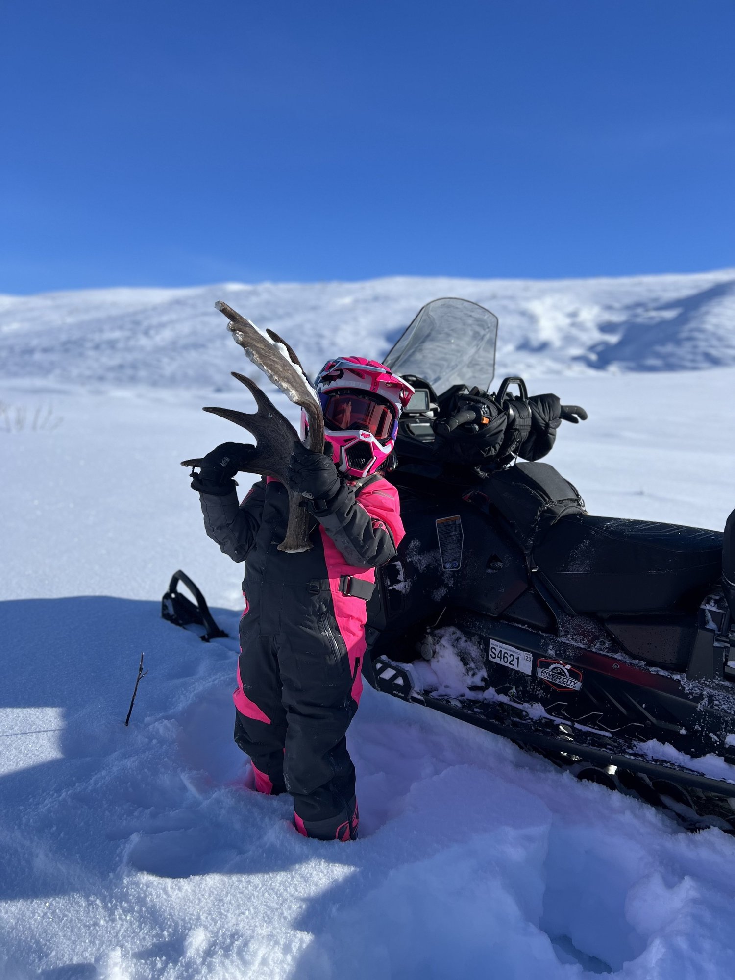 Iron Pup Race Series — Iron Dog Race