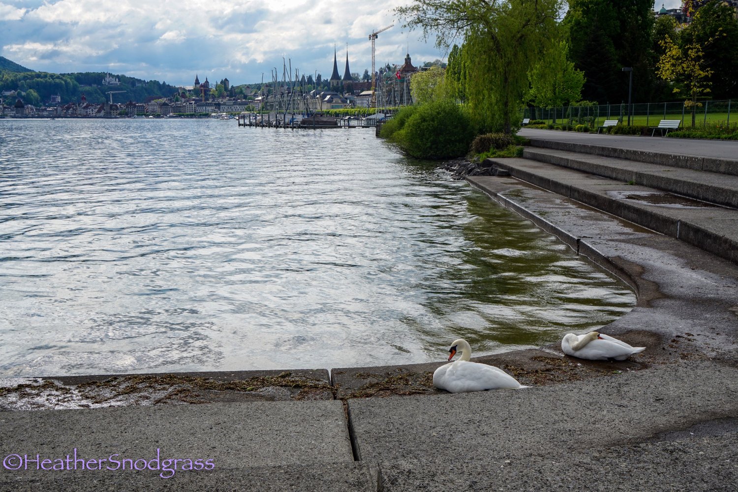 Luxurious Lucerne (Luzern), and other parts of Switzerland — Odyssey ...