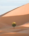 Exploring the Inspirational Allure of Carley Rudd’s Global Destinations