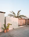 Exploring the Inspirational Allure of Carley Rudd’s Global Destinations