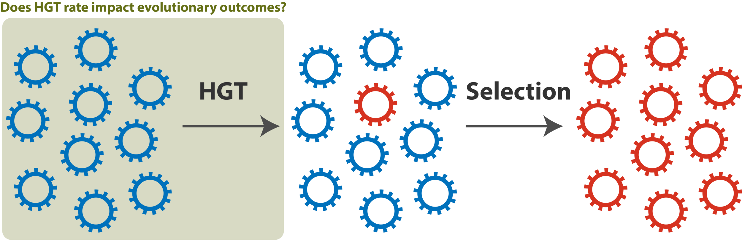 Evolutionary Purpose of bacterial Sex — Mostowy Lab