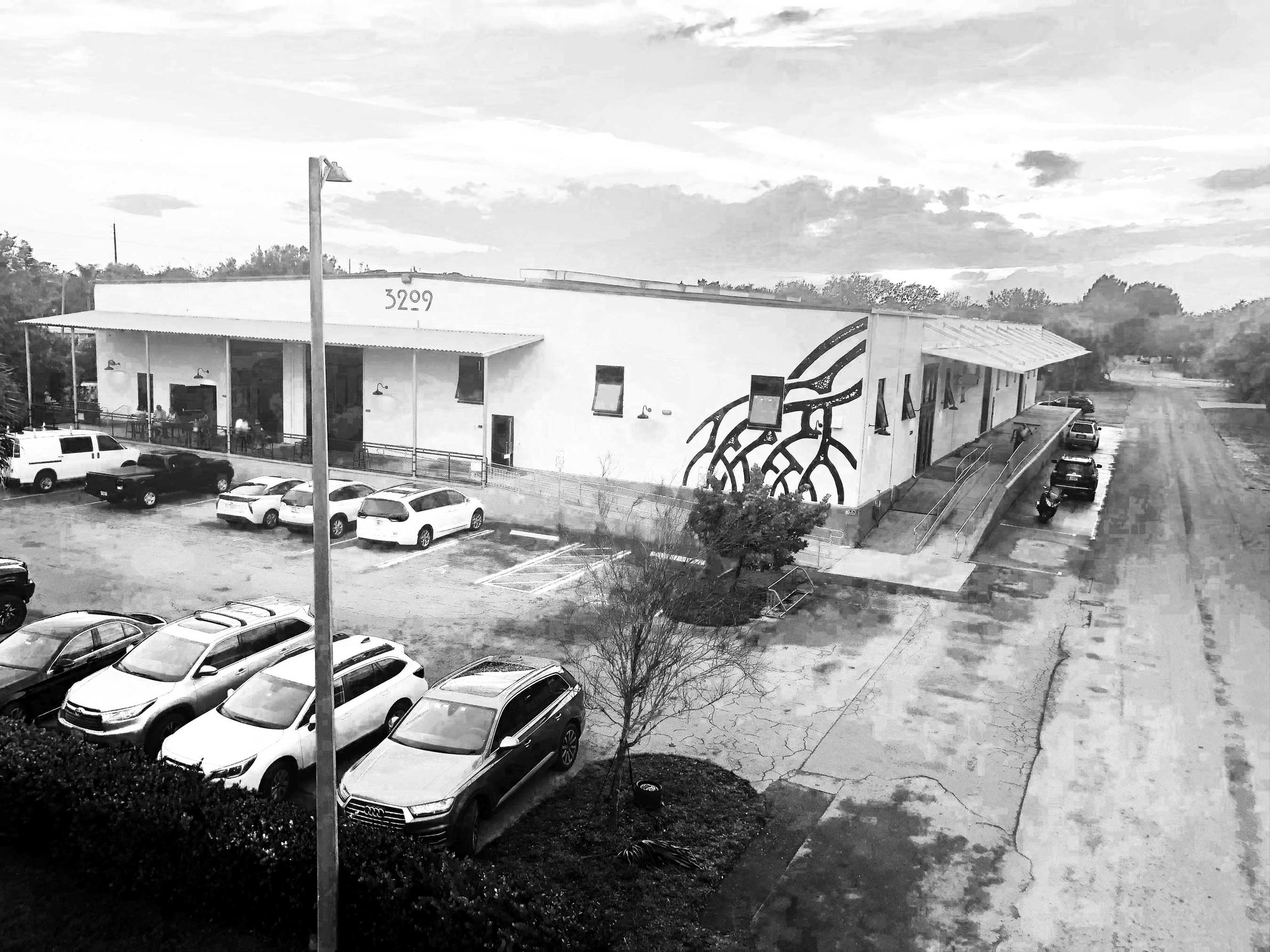 Walking Tree Brewery