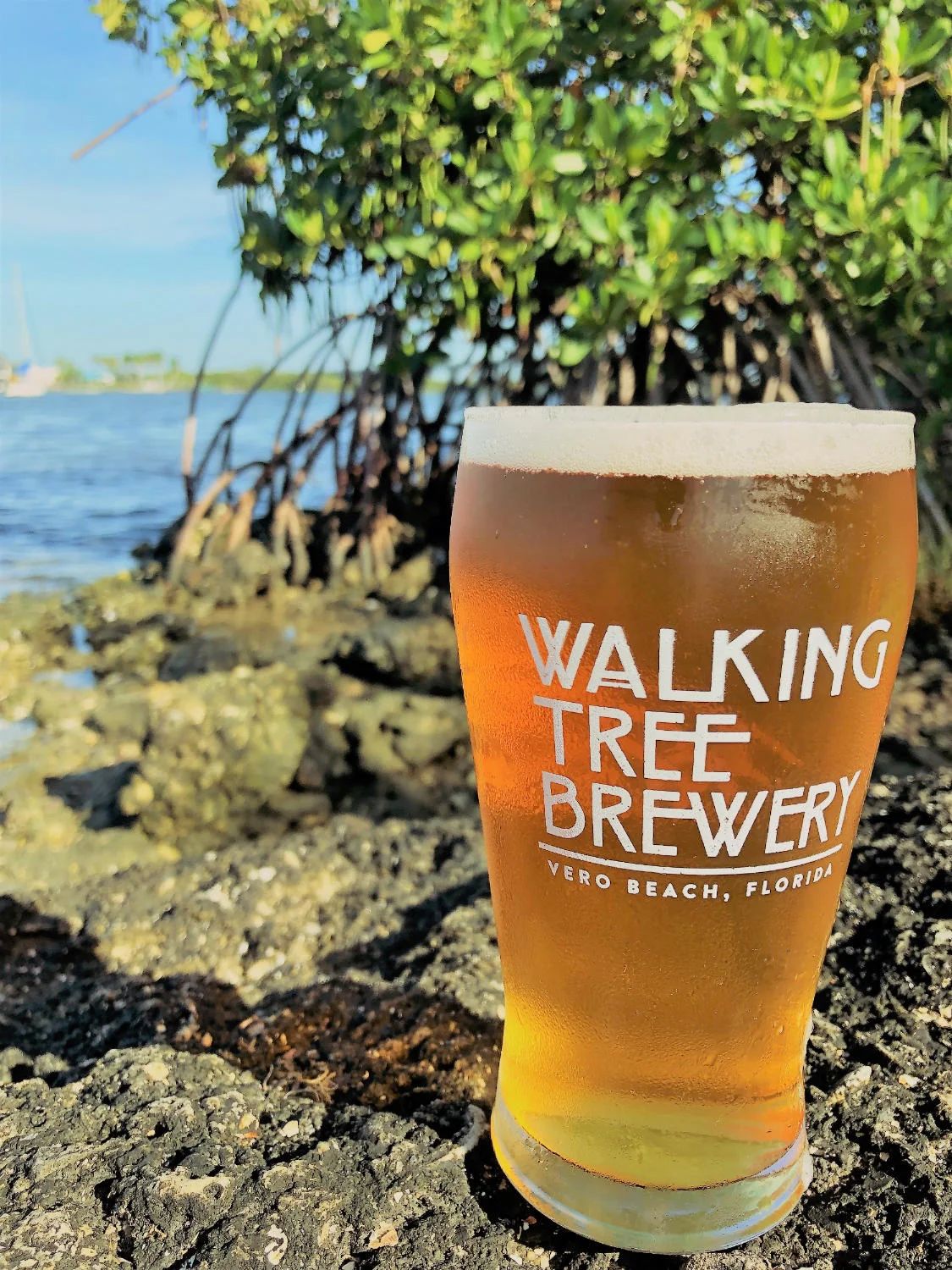 Walking Tree Brewery