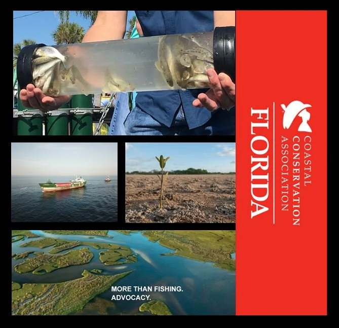 IPA's FOR WATERWAYS — Walking Tree Brewery