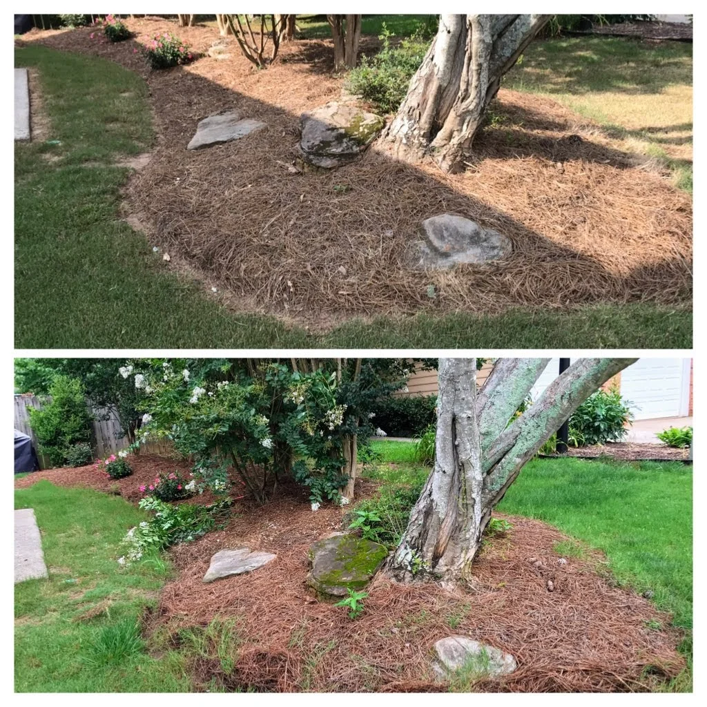 Leo's Lawn Service | We Make Great Lawns Happen