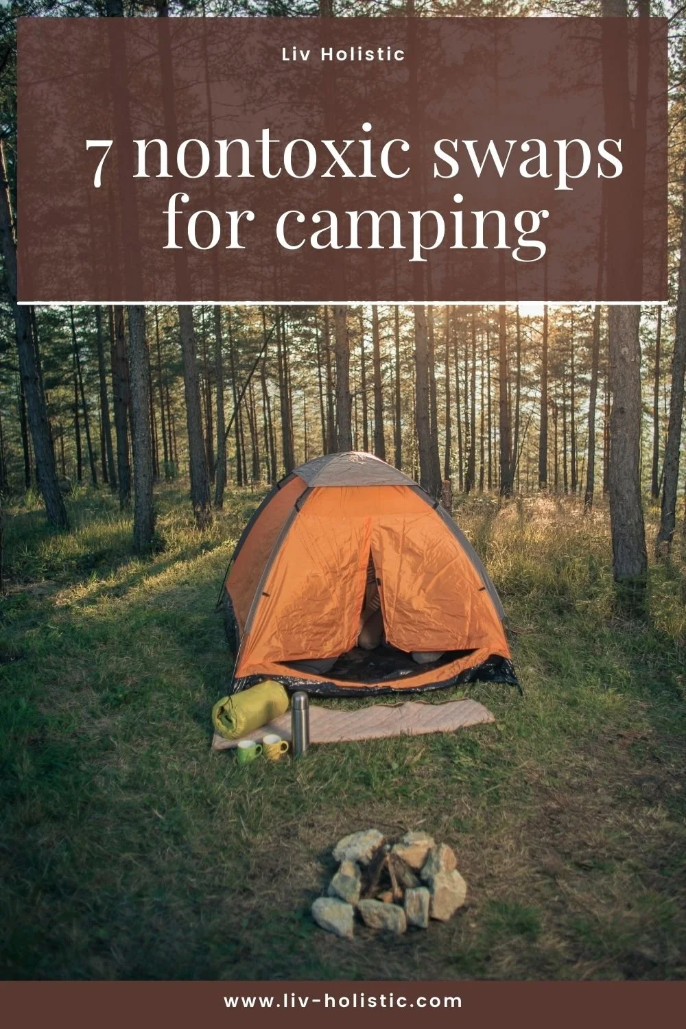 7 Nontoxic Swaps for Camping — Liv Holistic