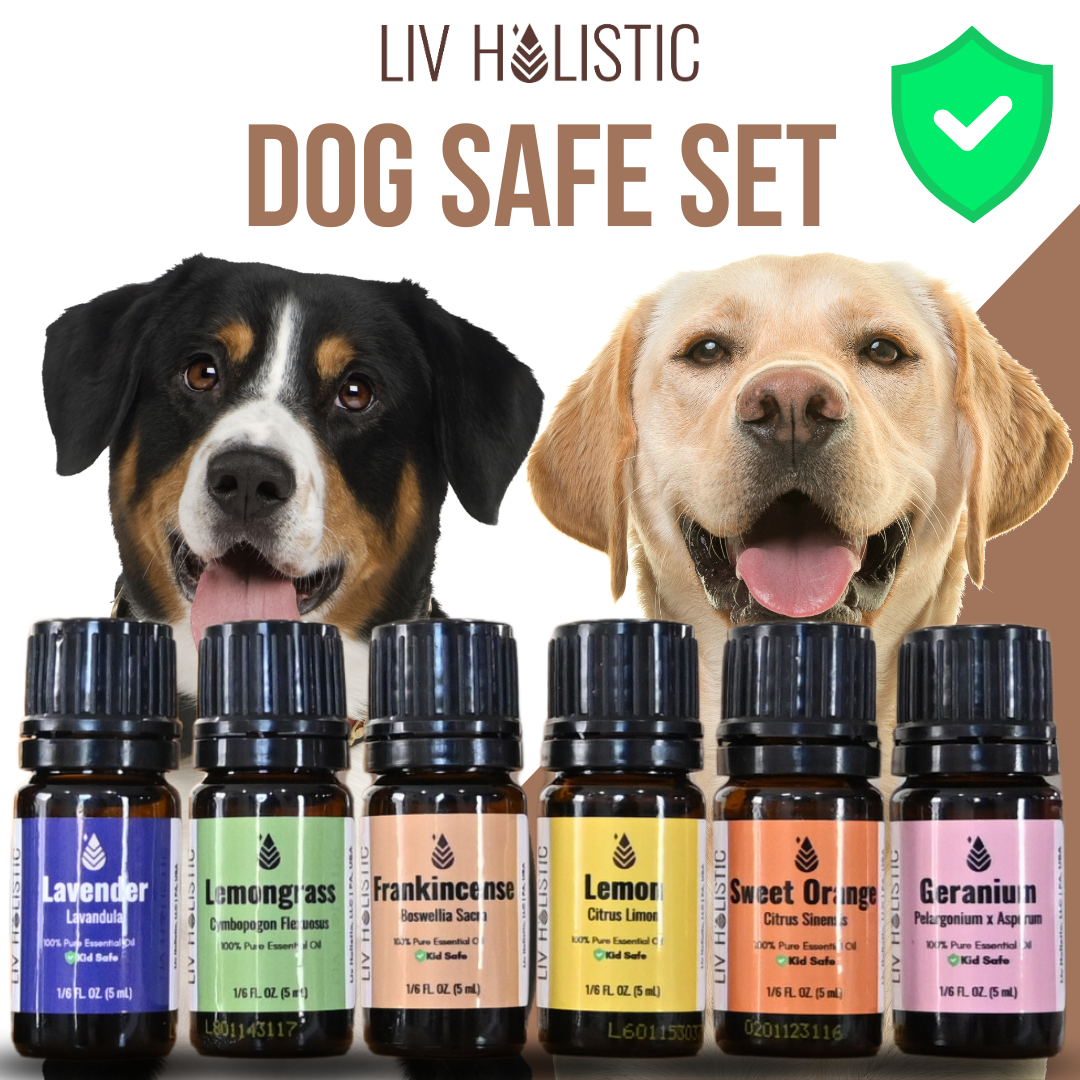 Organic Essential Oil Lifestyle Set (10 pack) — Liv Holistic