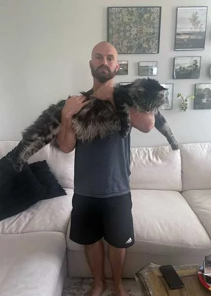 Marina's Maine Coons