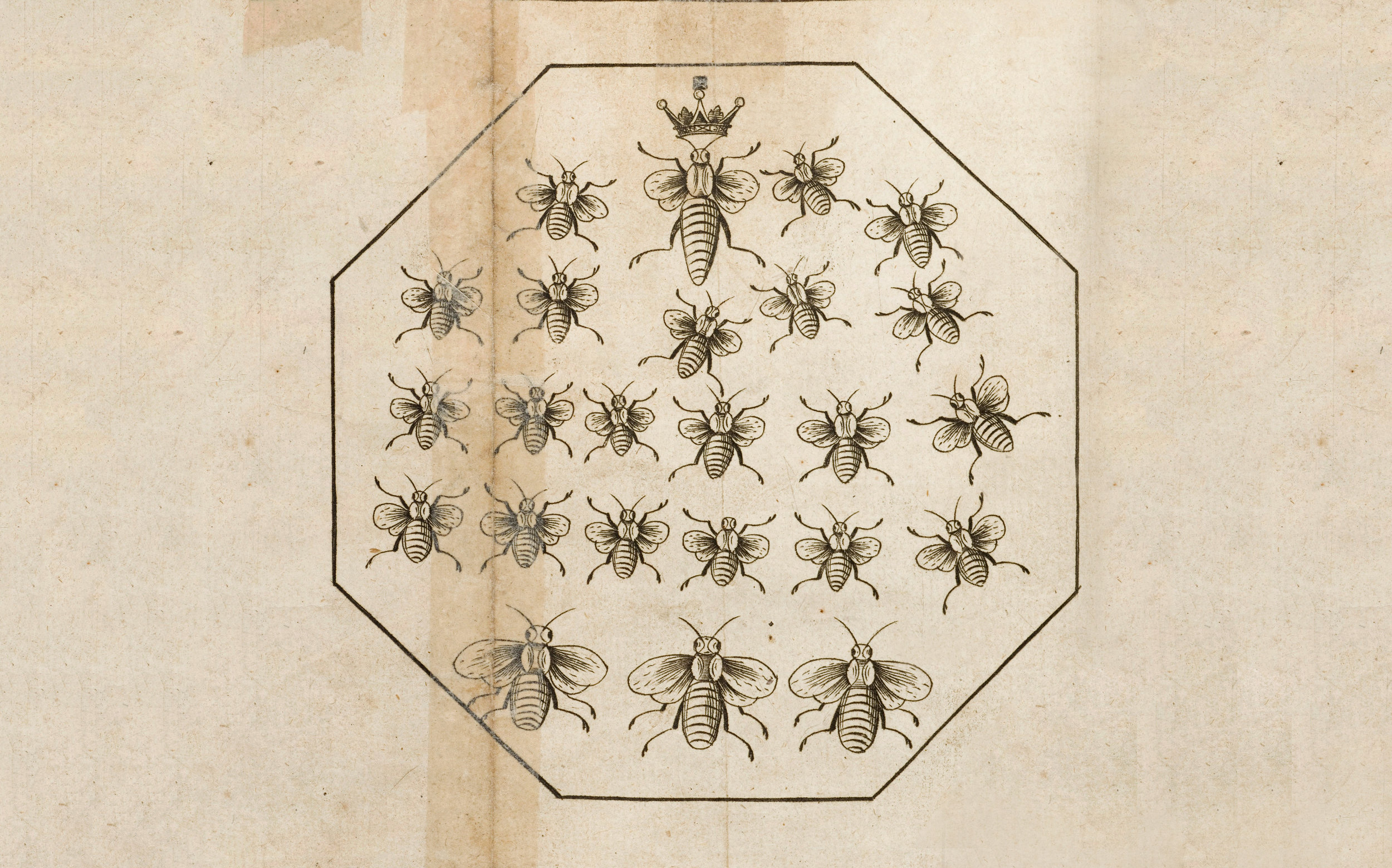 ALVARIUM