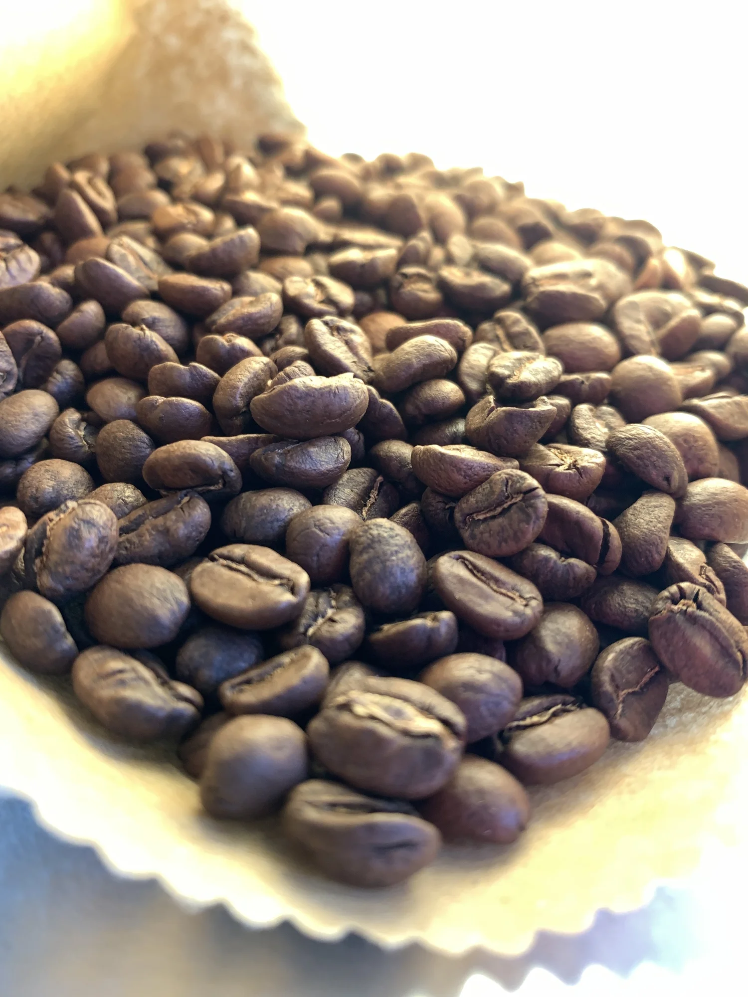 Re | zero waste shopping with a café