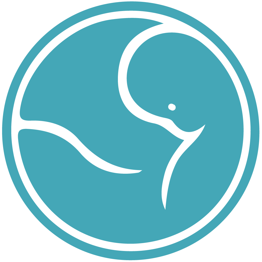 What Are Birth Defects Australian Birth Defects Society what-are-birth-defects-australian-birth-defects-society