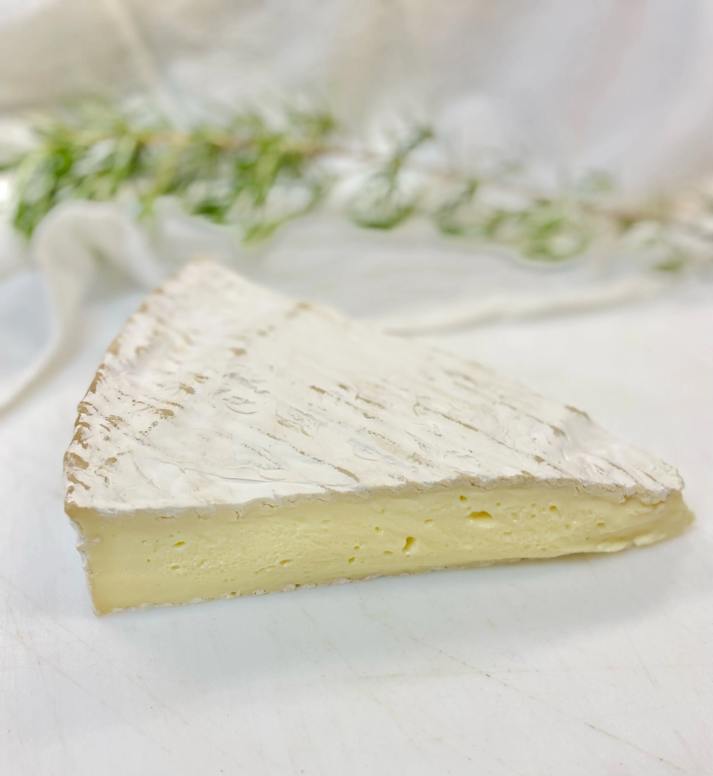 French Cheese Brie