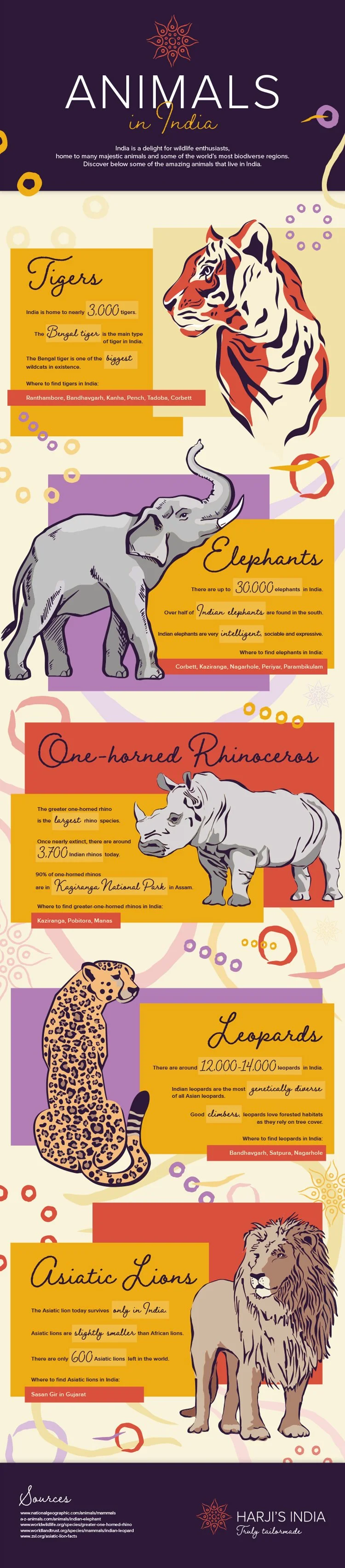 Animals in India: A Simple (But Complete) Guide | Harji's India