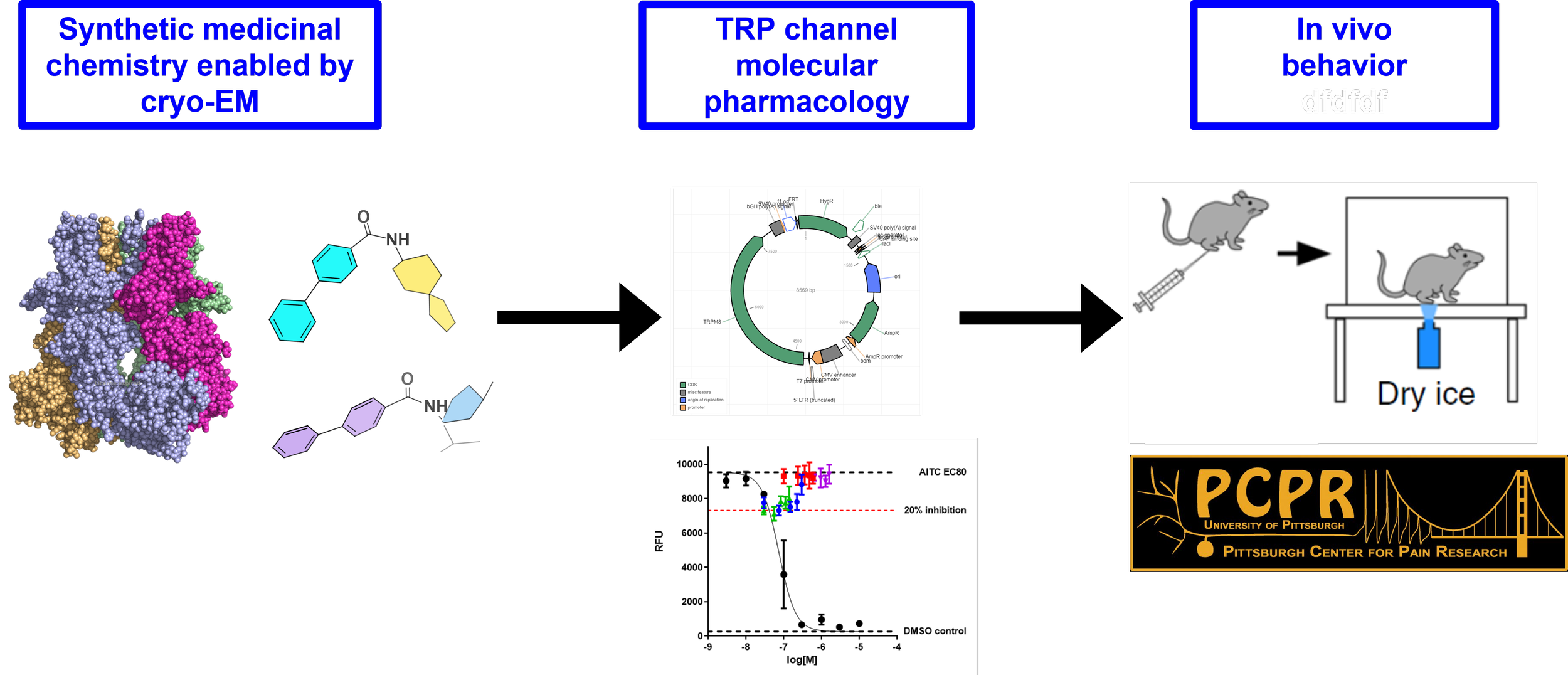 Transient Receptor Potential (TRP) drug discovery — Journigan Lab