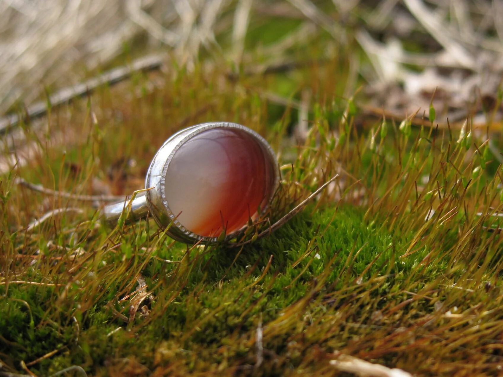 Mulling Iron or Loggerhead — Nicholas K. Downing