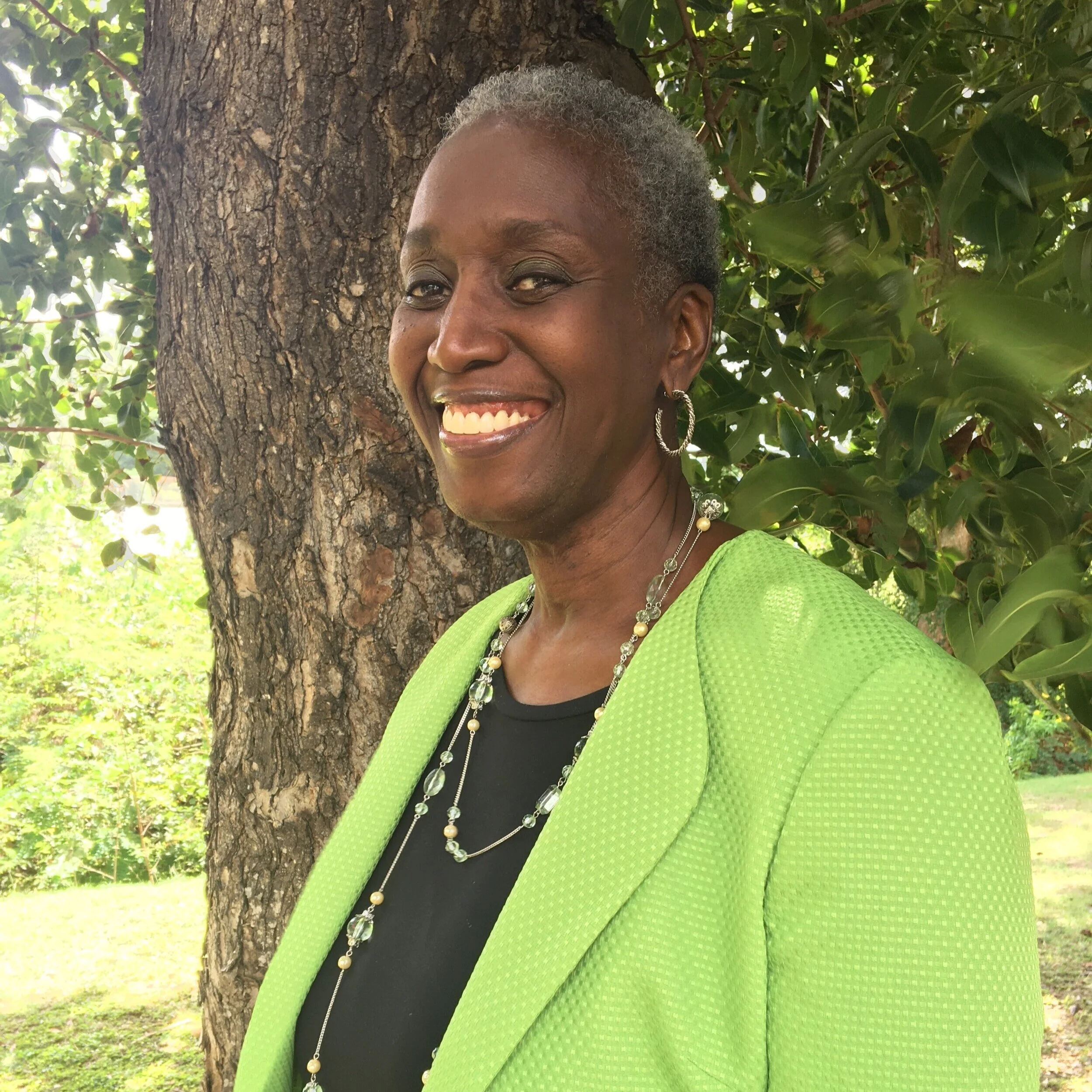 The Team — USVI HMRP