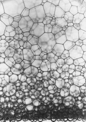 Basic Defoaming Principles — SIXIN North America, Inc.
