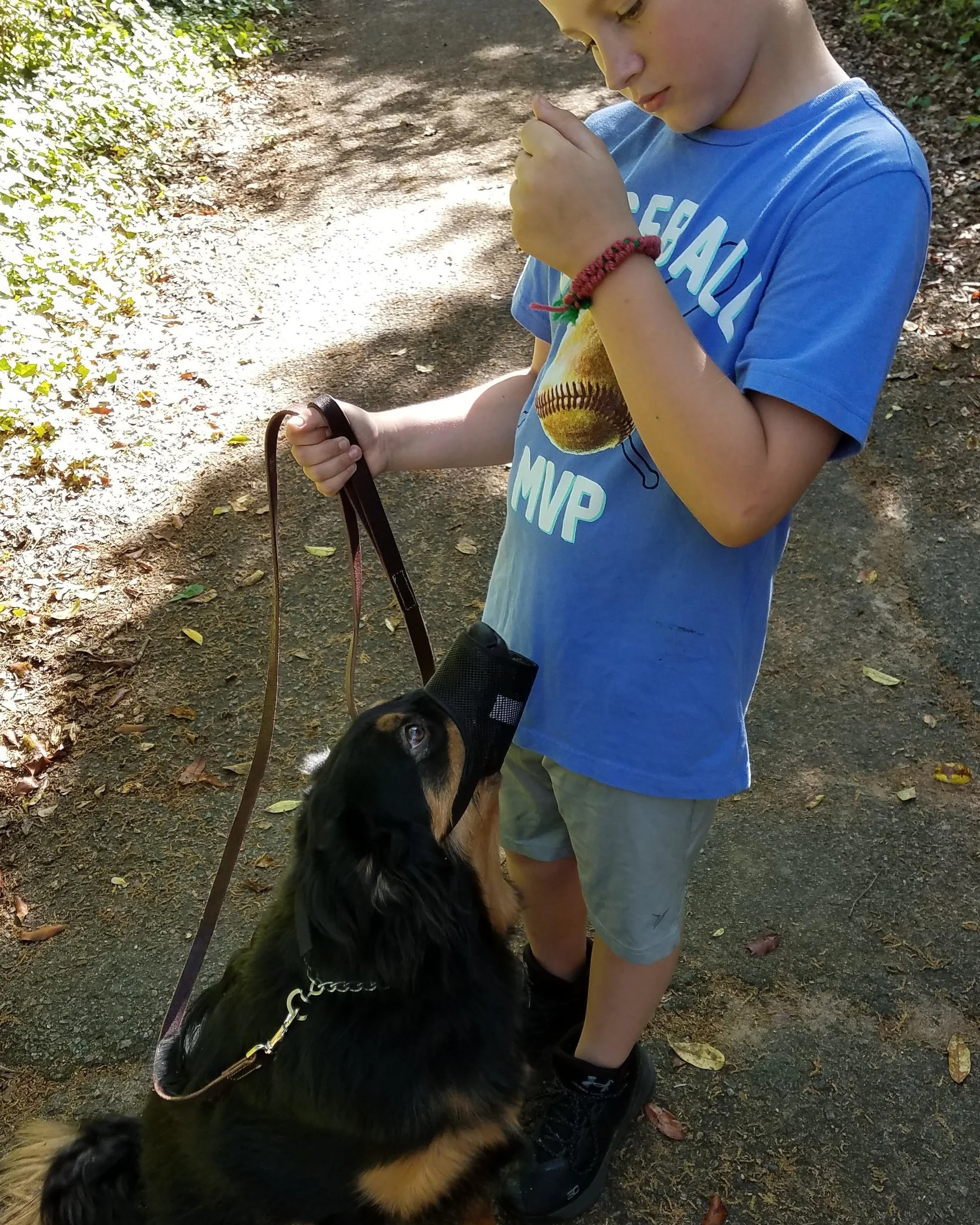 Cool Dog Stuff — Chambers K9 Training