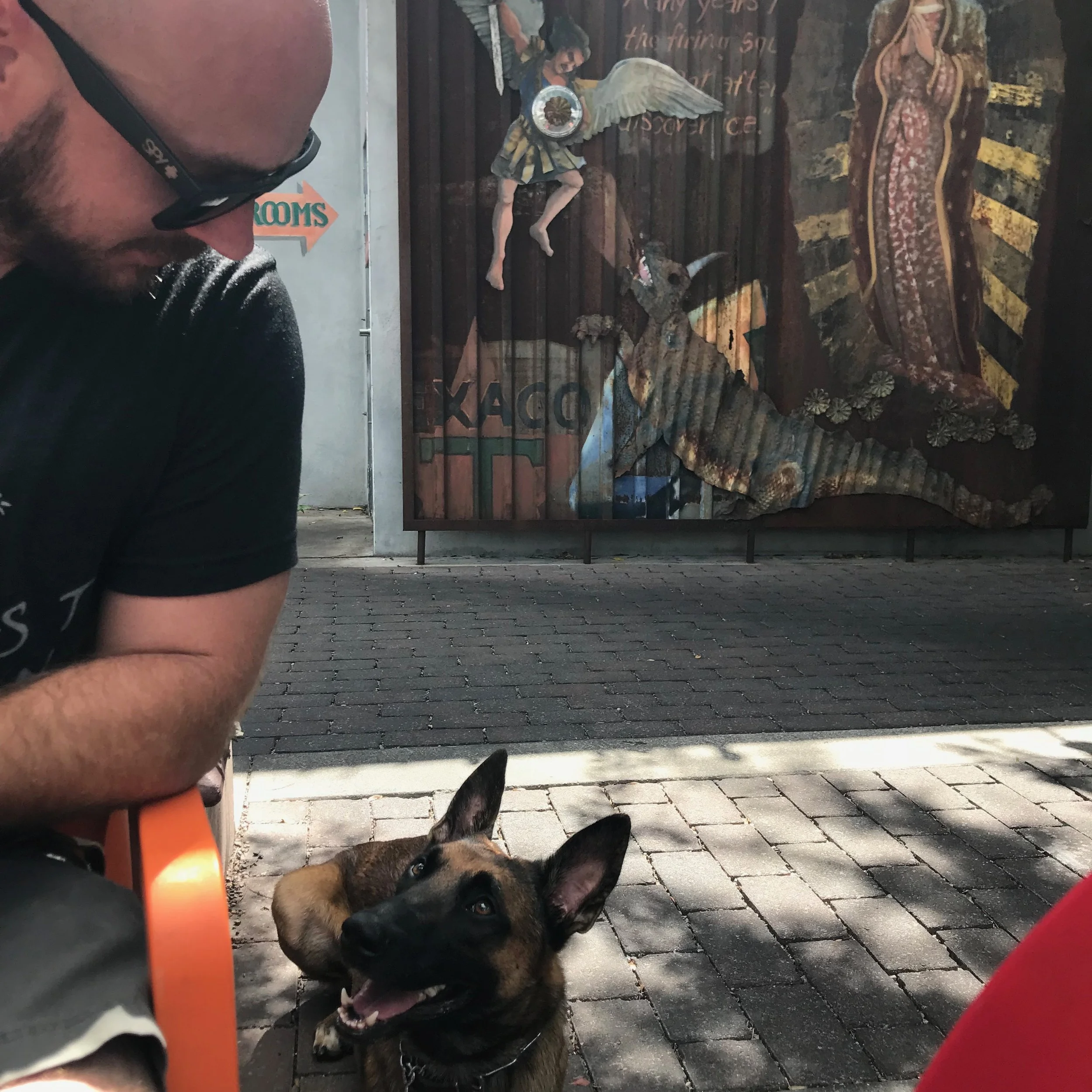 About — Chambers K9 Training