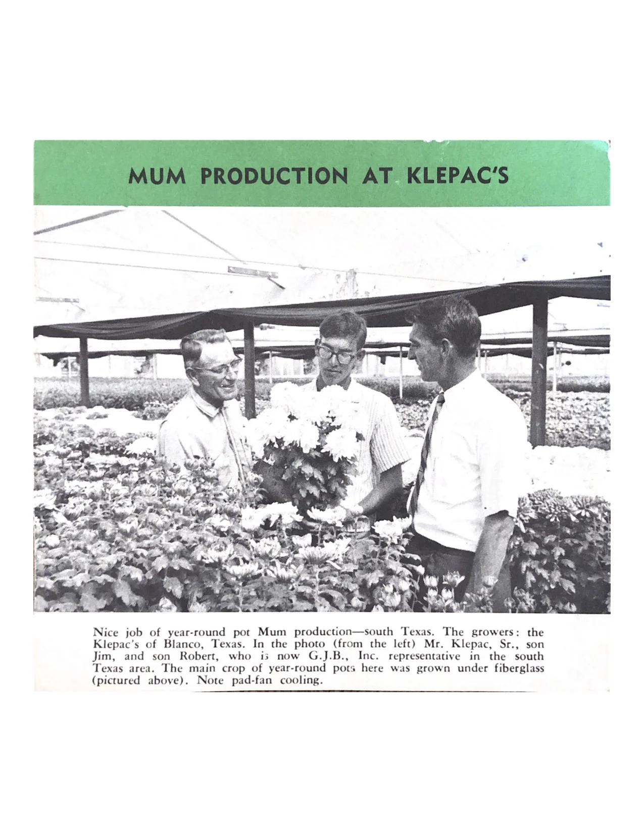 About Us — Klepac Greenhouses, Inc.