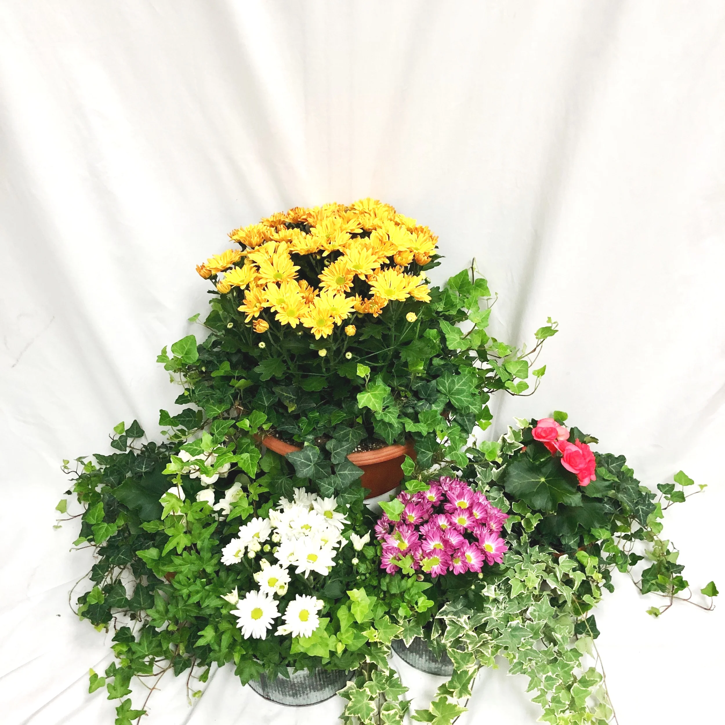 Garden and planters — Klepac Greenhouses, Inc.