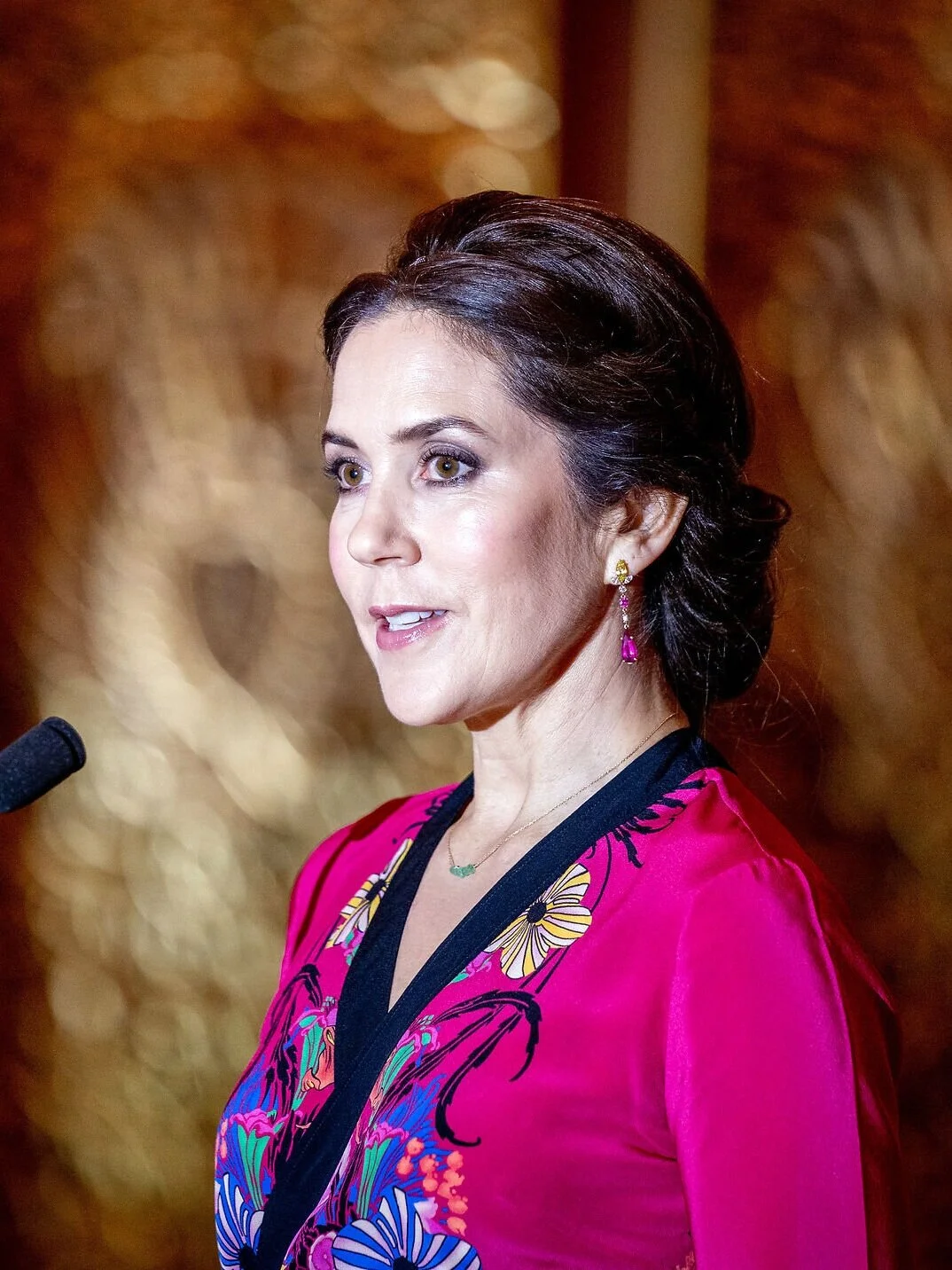 Crown Princess Mary Attends Dinner in Jakarta — Royal Portraits Gallery