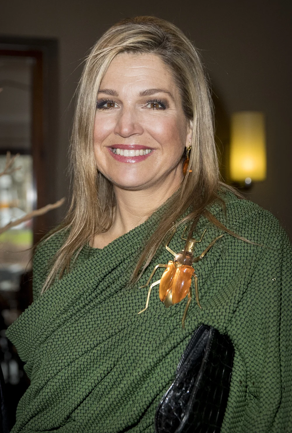 Queen Maxima Attends Single Supermom Foundation Meeting on ...