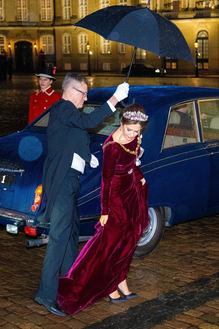 The Crown Prince and Crown Princess of Denmark Attend New Year's Reception 2024 — Royal ...