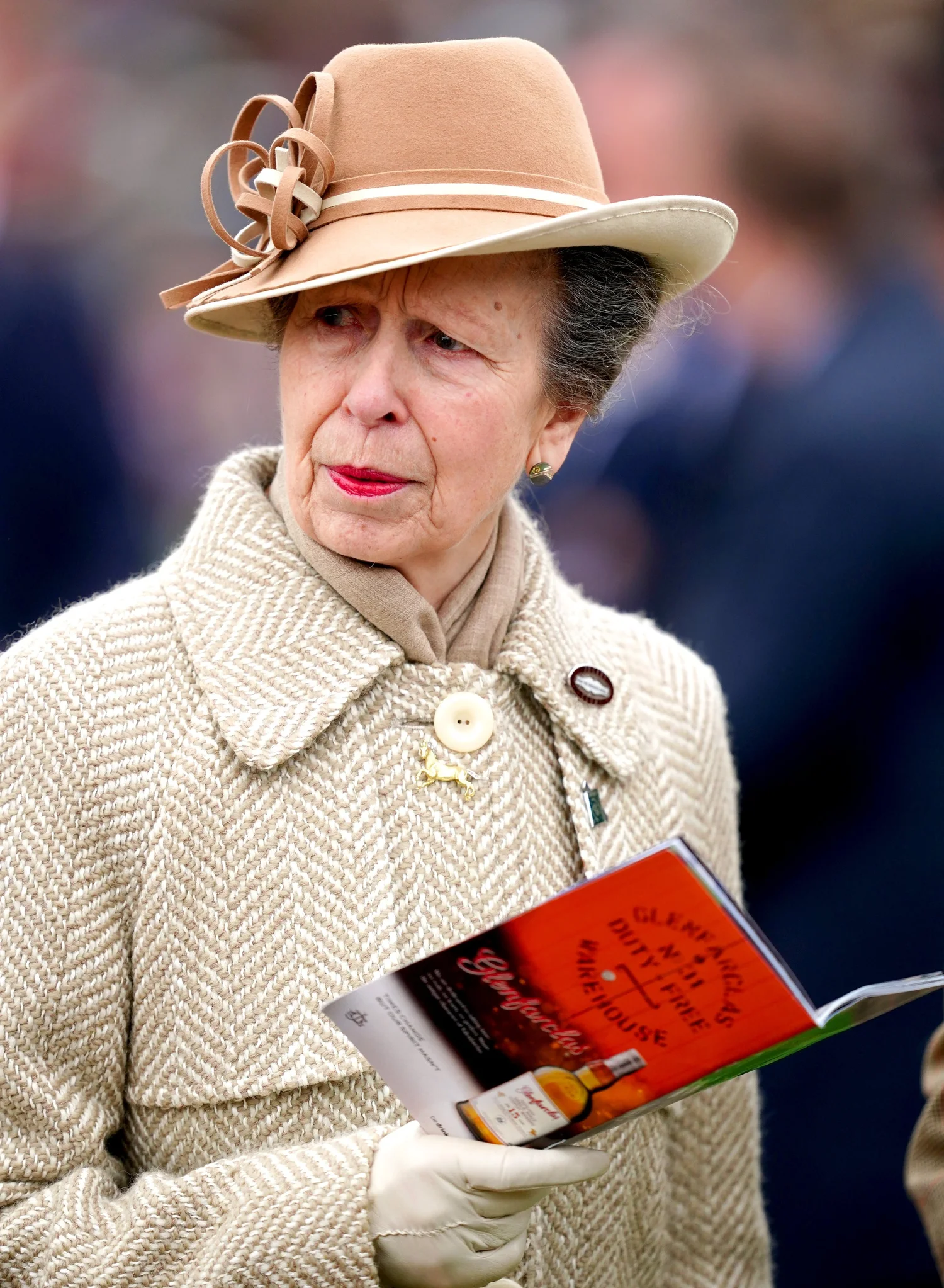 The Princess Royal Attends Cheltenham Festival 2024 Day 2 — Royal ...
