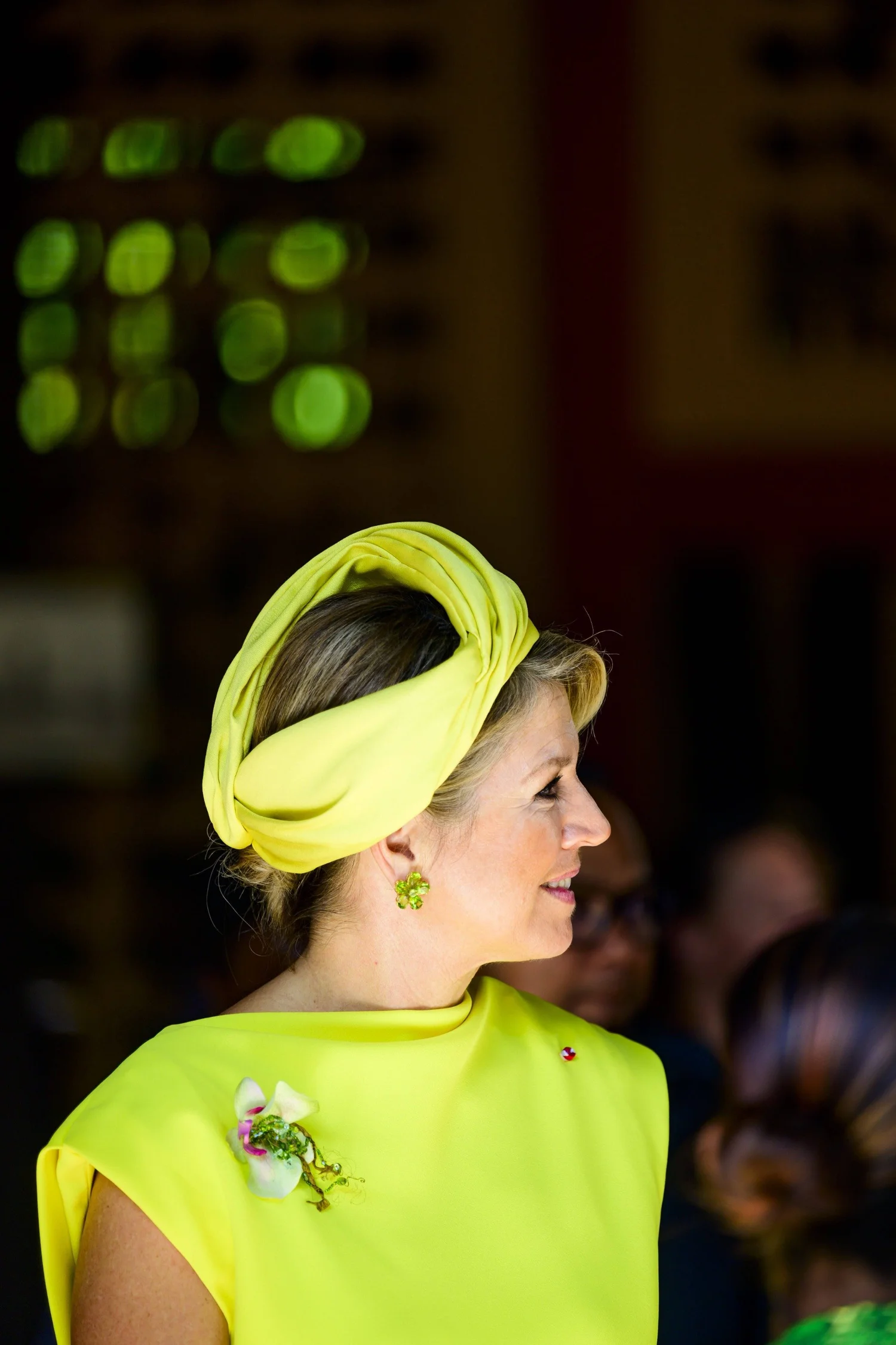 The King and Queen of the Netherlands Tour Paramaribo — Royal Portraits ...