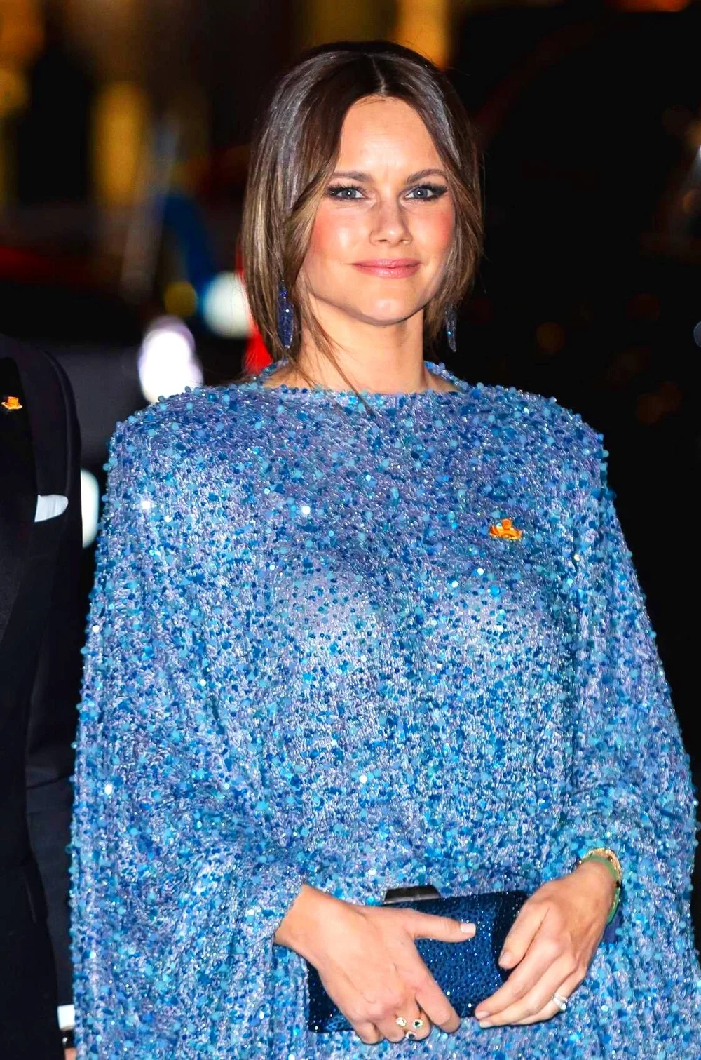 Princess Sofia Attends Concert Hosted by the King and Queen of the ...