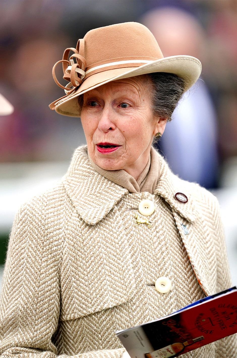 The Princess Royal Attends Cheltenham Festival 2024 Day 2 — Royal ...