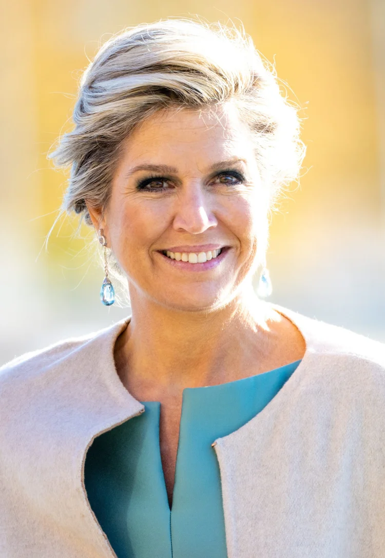 The King and Queen of the Netherlands Visit the City of Stockholm ...